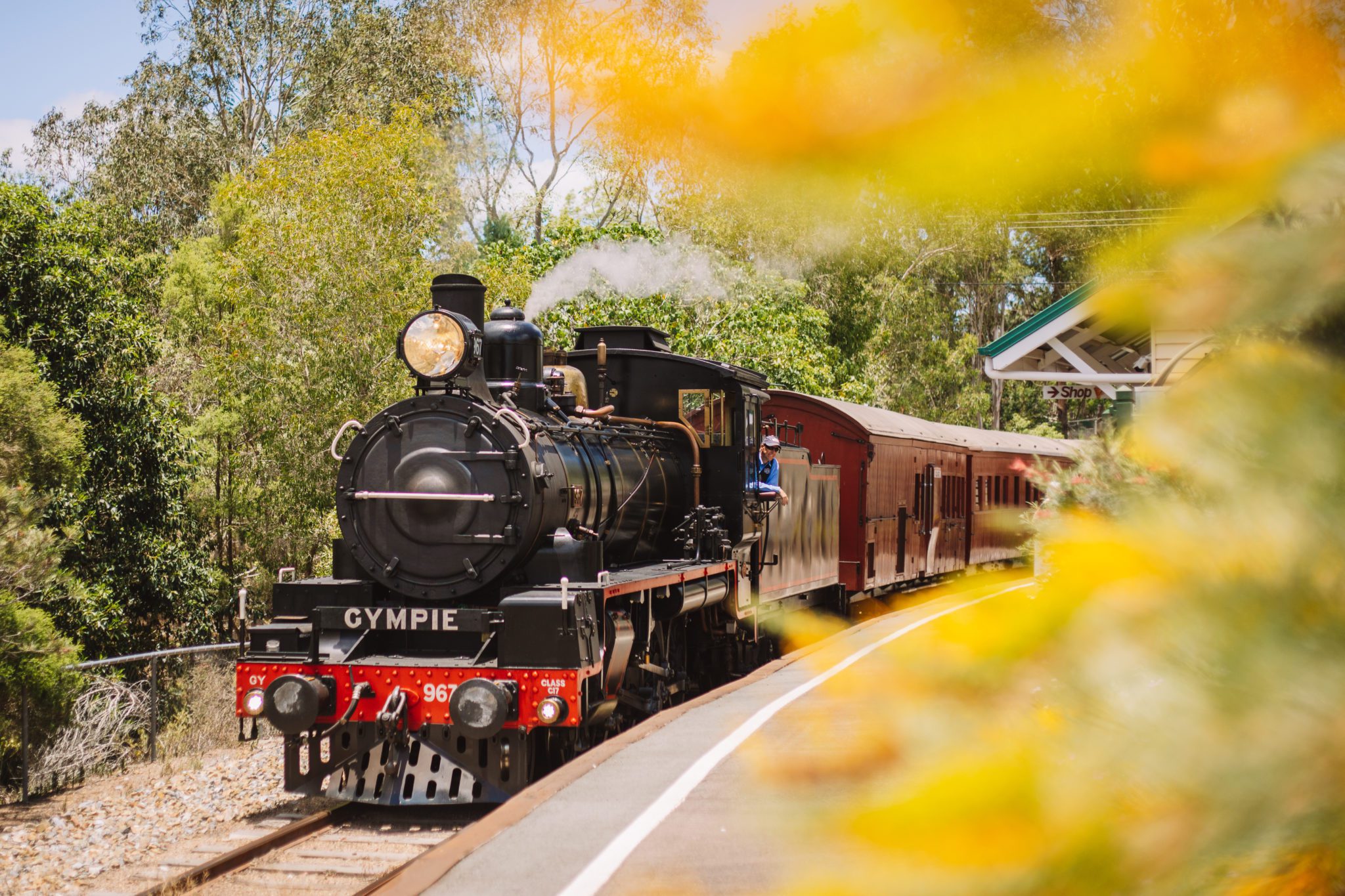 Mary Valley Rattler - Historic Steam Train Journeys